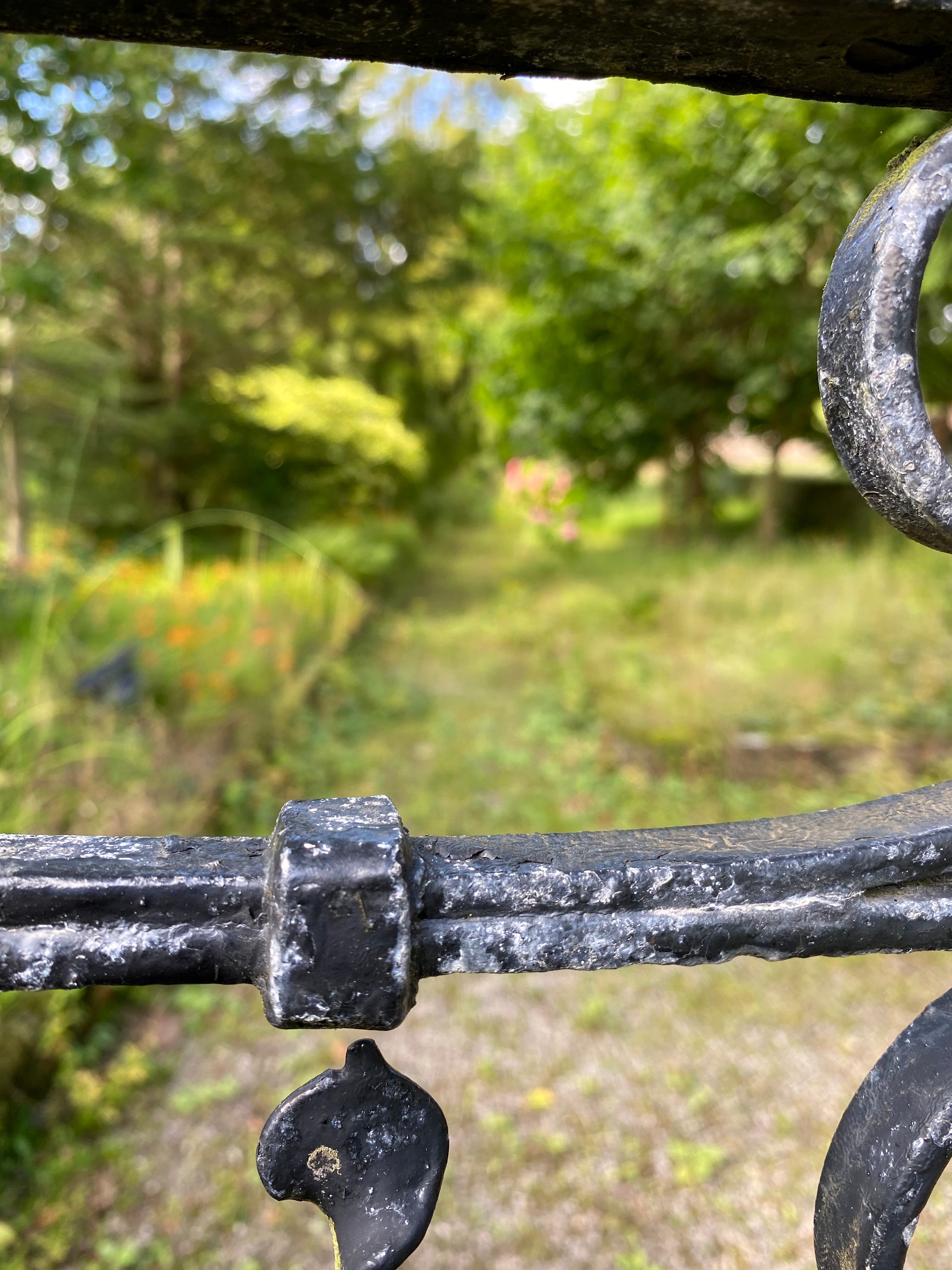 Muncaster Castle & Gardens - The Squirrel Tales